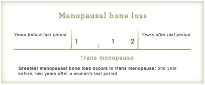 New information on Bone Loss in Menopause -- Better Bones